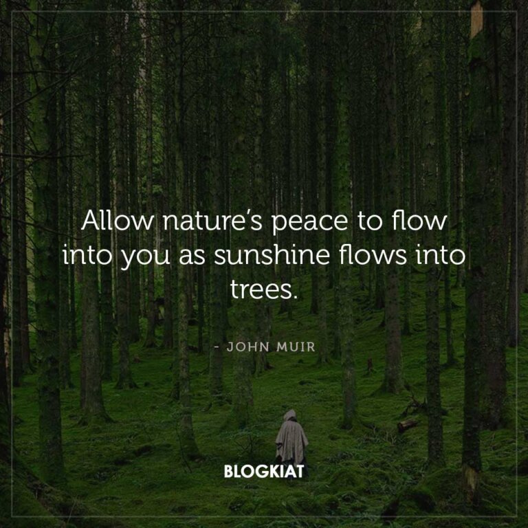 25+ Best Nature Quotes to Appreciate The World - Blogkiat