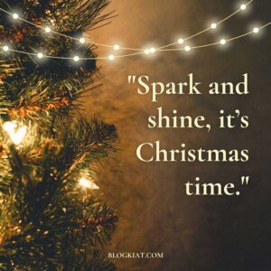 25+ Best Quotes About Christmas Lights To Make The Season Shine - Blogkiat