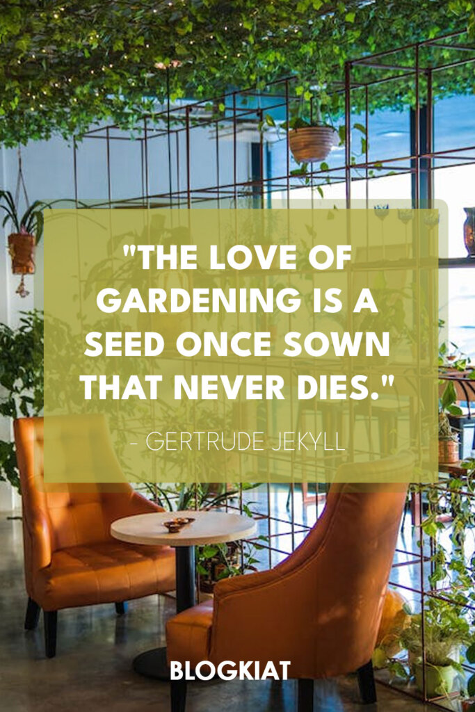 35 Best Inspirational Garden Quotes in 2024