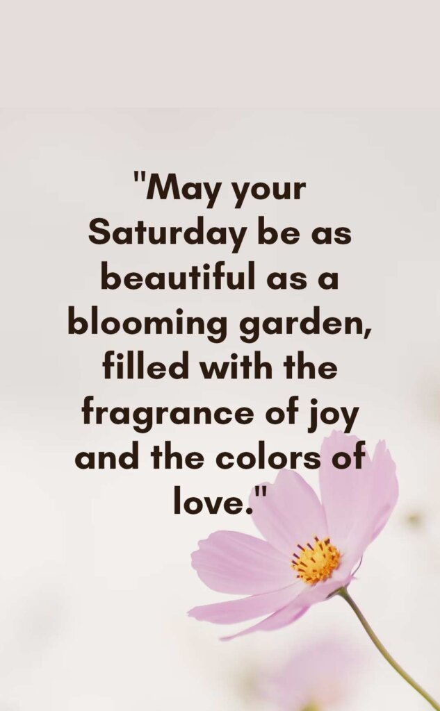 180+ Best Saturday Blessings to Uplift Your Spirit(2024)