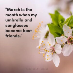 150+ March Quotes to Motivate and Uplift(2026)