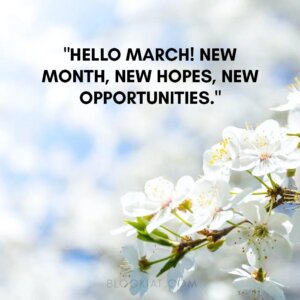 150+ March Quotes to Motivate and Uplift(2026)